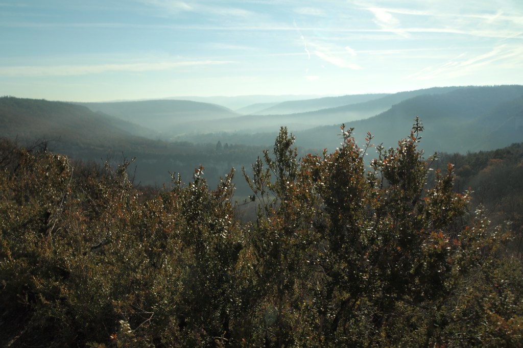 About TM Devon – TM Devon