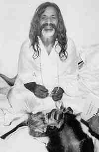 BEING HUMAN – TM Devon